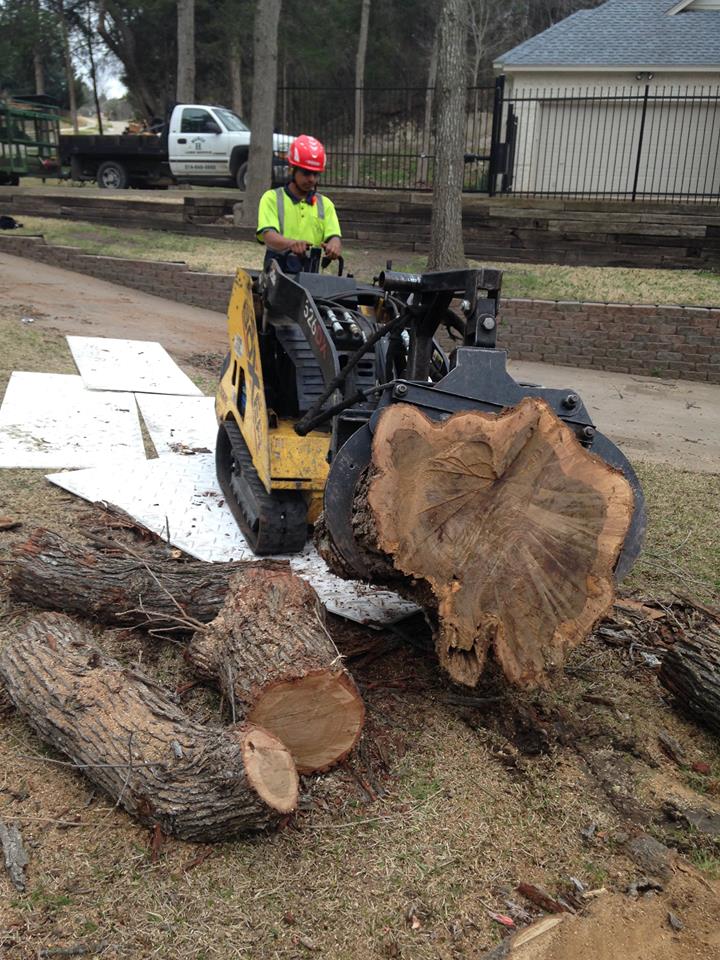 Tree Stump Removal Fort Worth